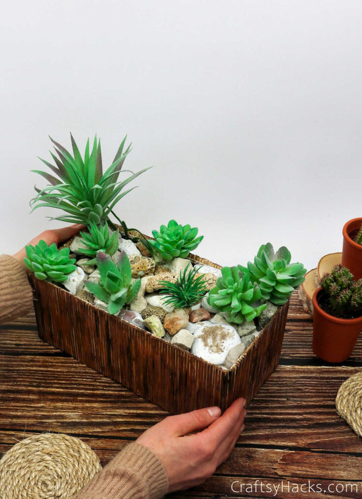 DIY Boho Succulent Planter (Step-by-Step) - Craftsy Hacks