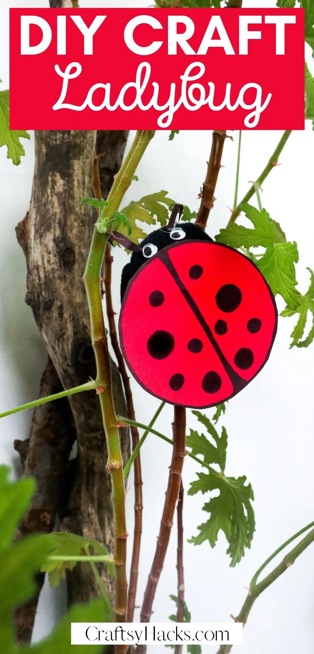 Ladybug Craft Out of Toilet Paper Roll - Craftsy Hacks