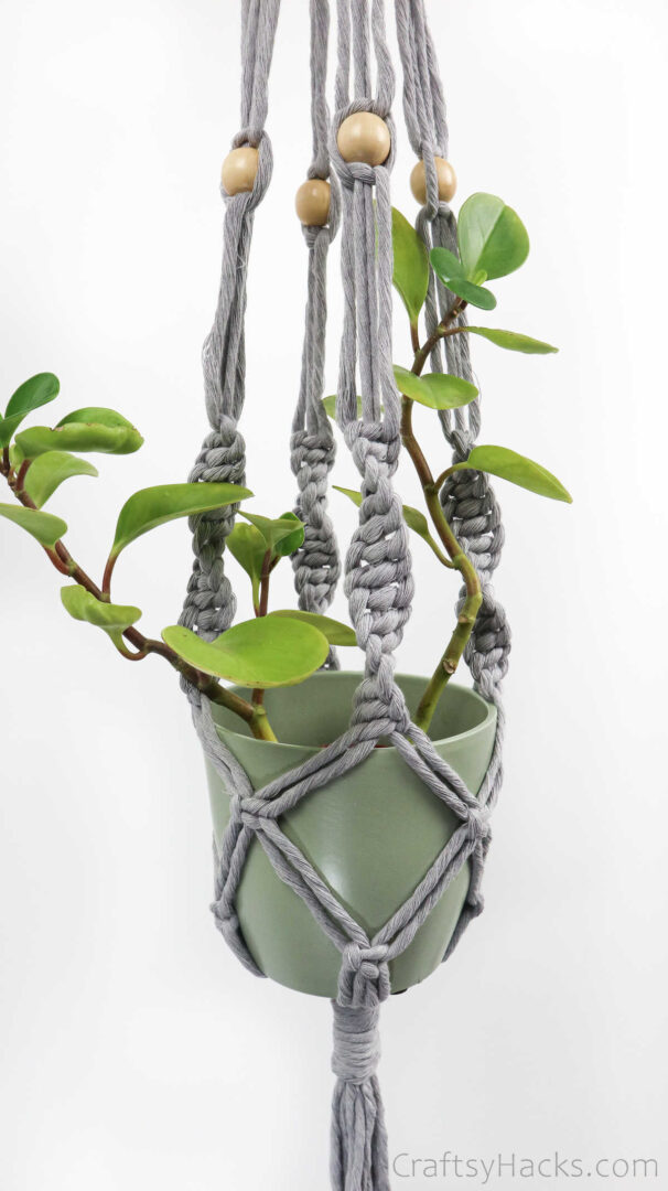 Diy Macrame Plant Hanger Step By Step Tutorial Craftsy Hacks