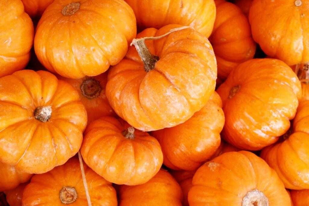 31 Halloween Party Games For Teens And Tweens Craftsy Hacks