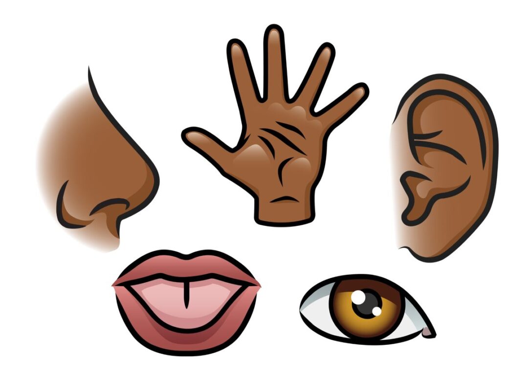 27 All About Me Activities for Preschoolers Lesson Plans