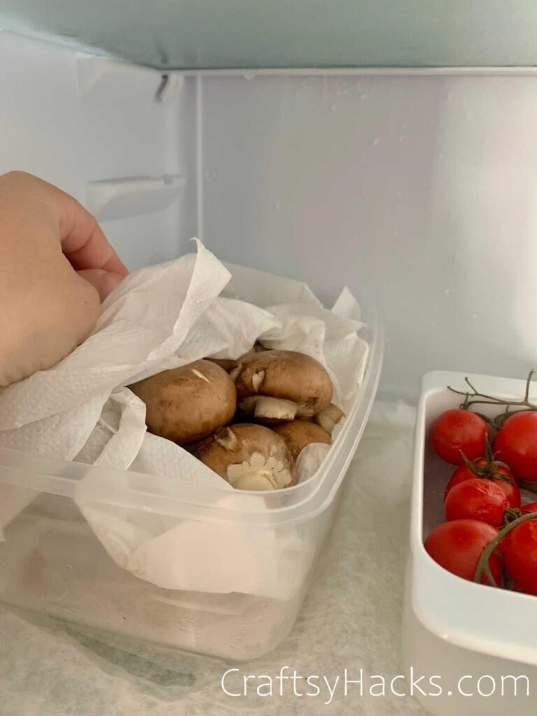 20 Ways to Store Food to Keep It Fresh Longer - Craftsy Hacks