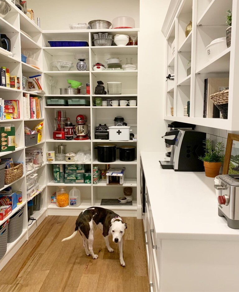 Transform Your Walk-In Pantry: 27 Smart Solutions That Last - Craftsy Hacks